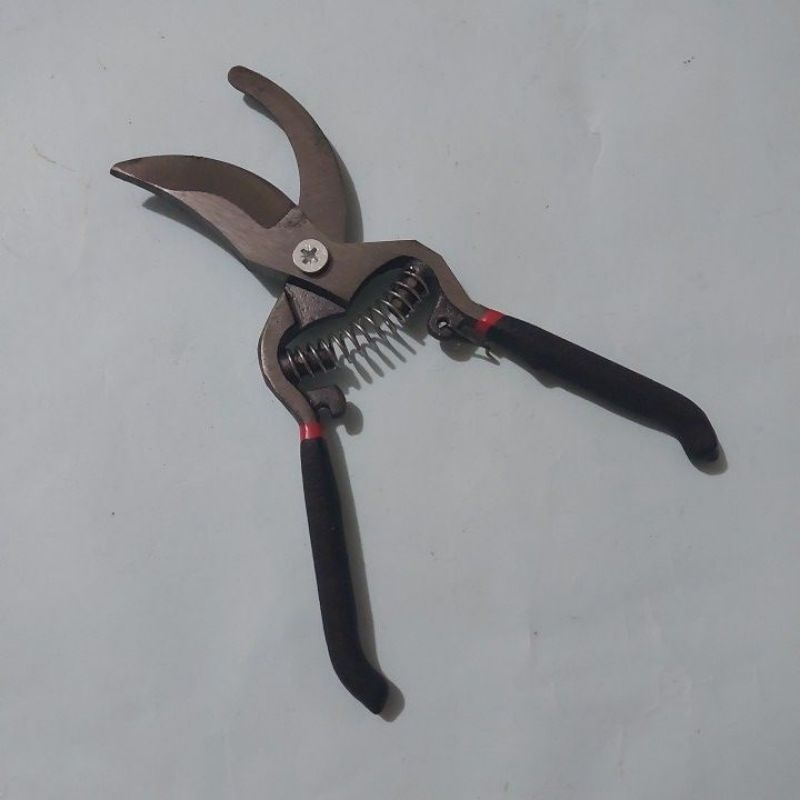 Jual Gunting dahan ranting bunga | Shopee Indonesia