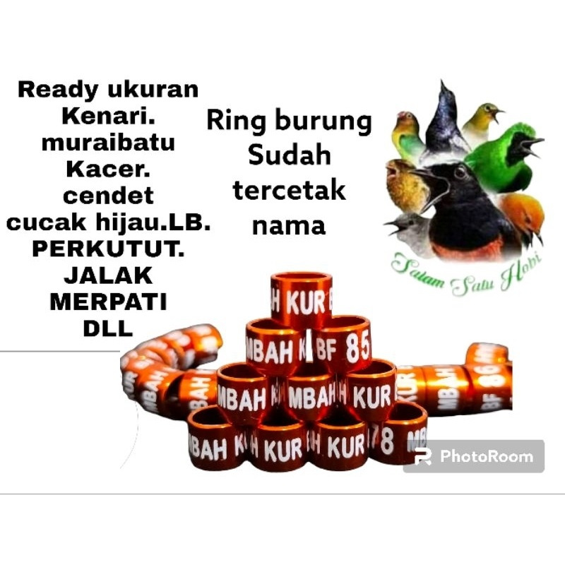 Jual RING BURUNG 1 PCS GELANG PENANDA KAKI BURUNG PLECI KENARI KONIN ...