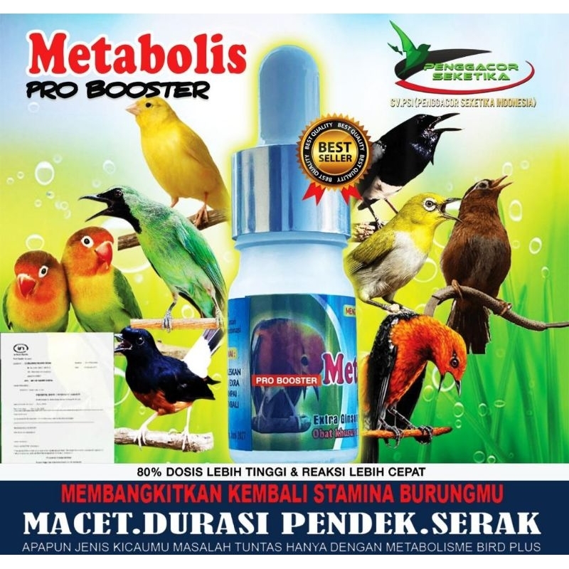 Jual METABOLIS PRO BOOSTER BOTOL KACA 3 MILI | Shopee Indonesia