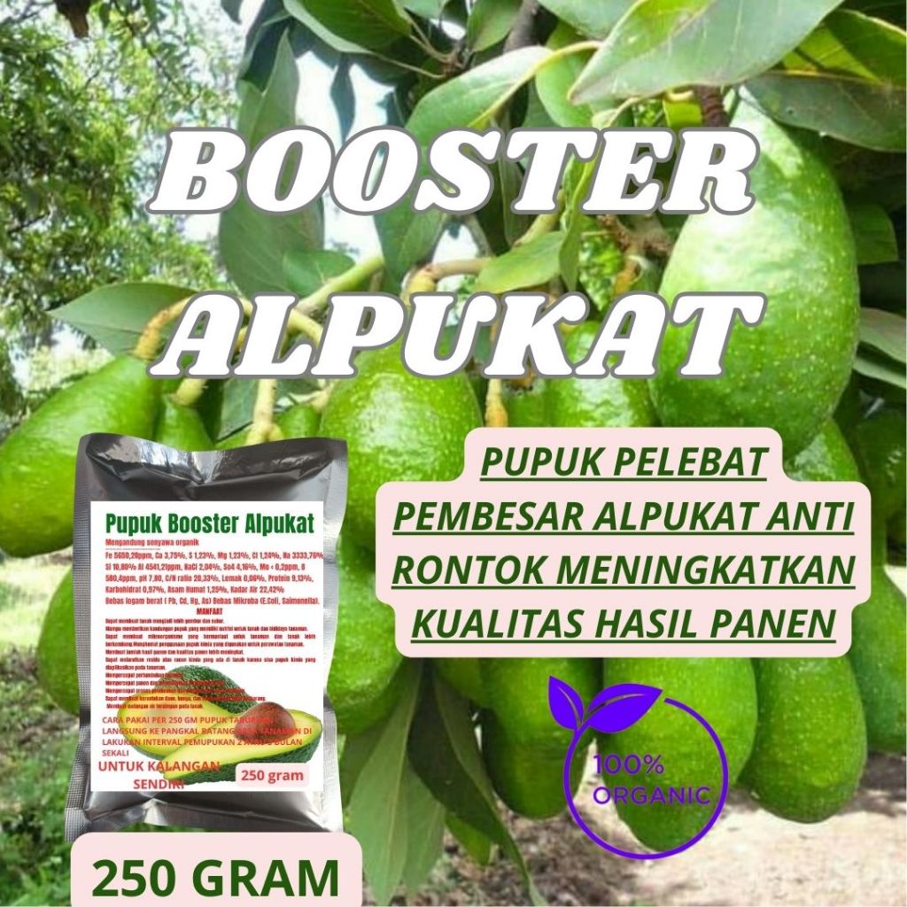 Jual TFI Pupuk Booster Alpukat 250 GR Pelebat Buah Anti Rontok Pupuk Alpukat Cepat Berbuah Lebat ...