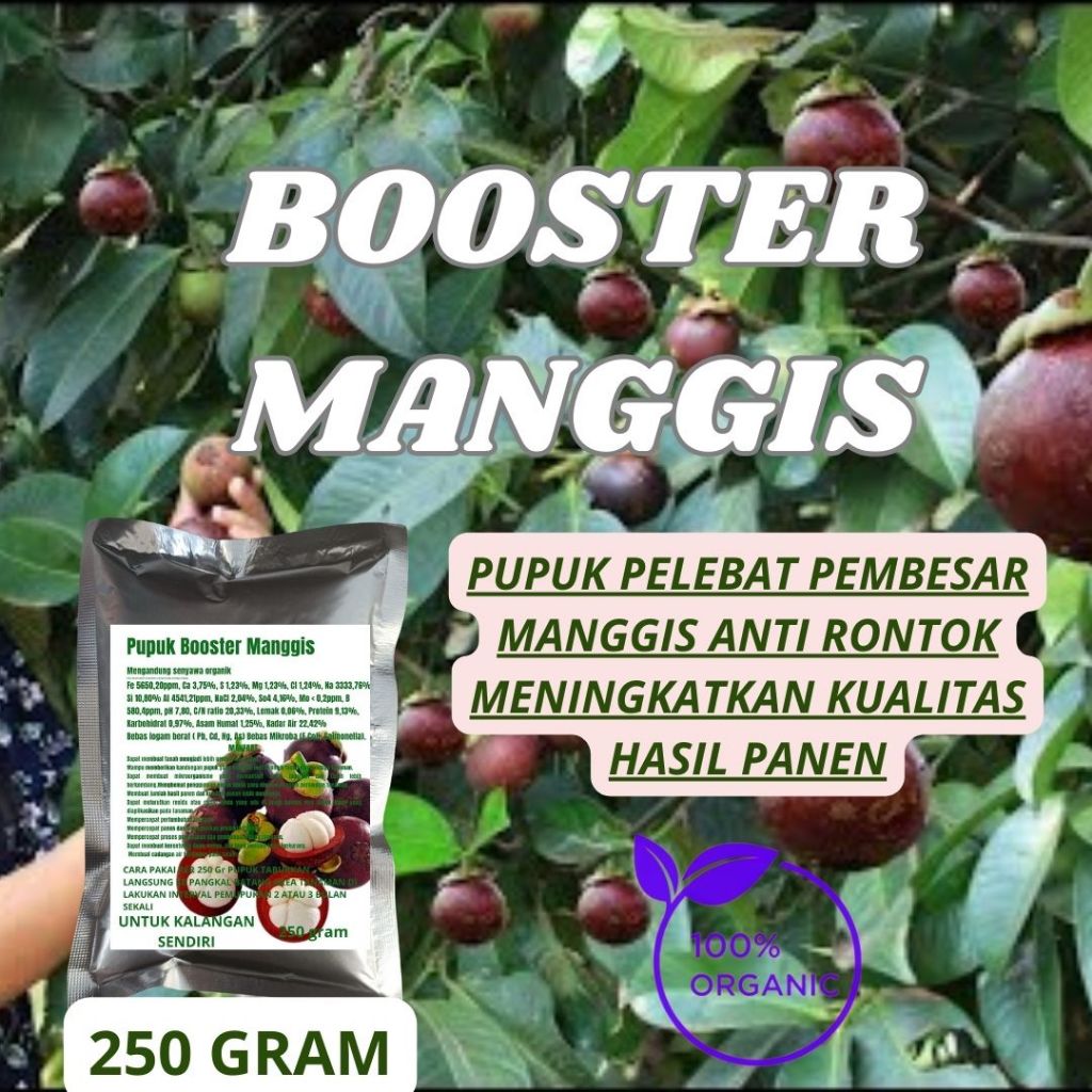 Jual Pupuk Booster Manggis / Pelebat Buah dan Anti Rontok /Pupuk Manggis Agar Cepat Berbuah ...