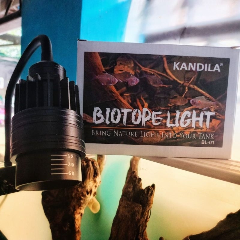 Jual LAMPU KANDILA BIOTOPE LIGHT | Shopee Indonesia