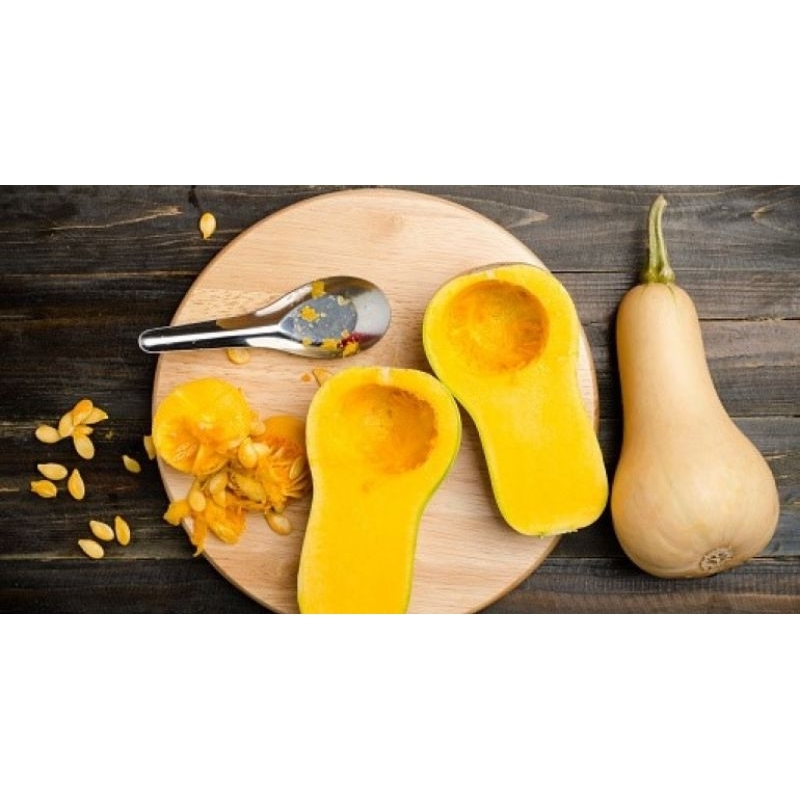 Jual buah labu madu (buternut pumpkins) | Shopee Indonesia