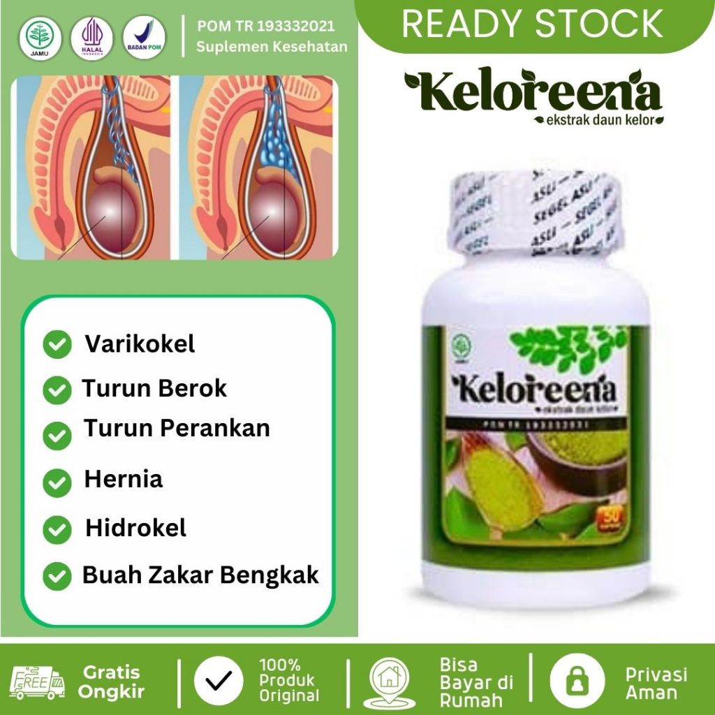 Jual Obat Varikokel, Buah Zakar Bengkak Sebelah, Sakit Buah Zakar ...