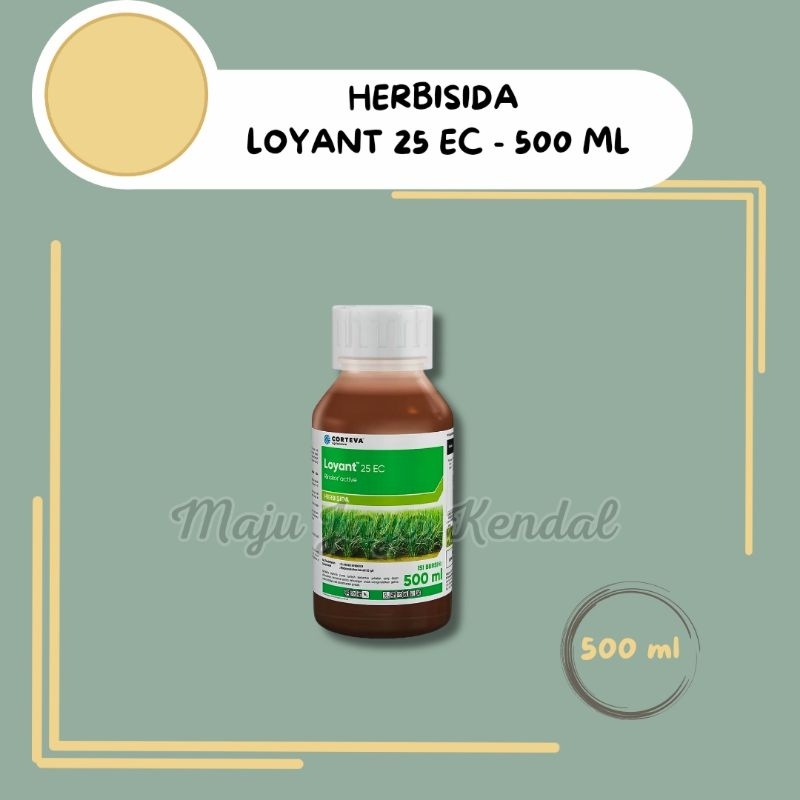 Jual HERBISIDA LOYANT 25 EC - 500 ml (obat rumput padi) | Shopee Indonesia