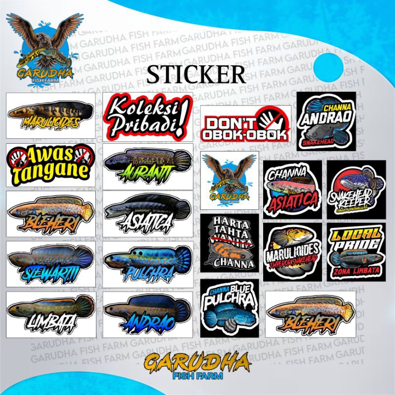 Jual Sticker Channa Pulchra Asiatica Limbata Andrao Stewarti Auranti ...