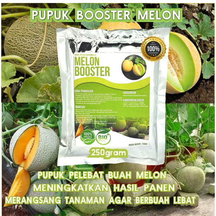 Jual Pupuk Organik Pelebat Booster Melon 250gr | Perangsang Buah Melon | Pupuk Pelebat Buah ...
