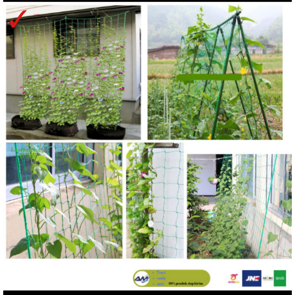 Jual Jaring rambatan tanaman net climbing | Shopee Indonesia
