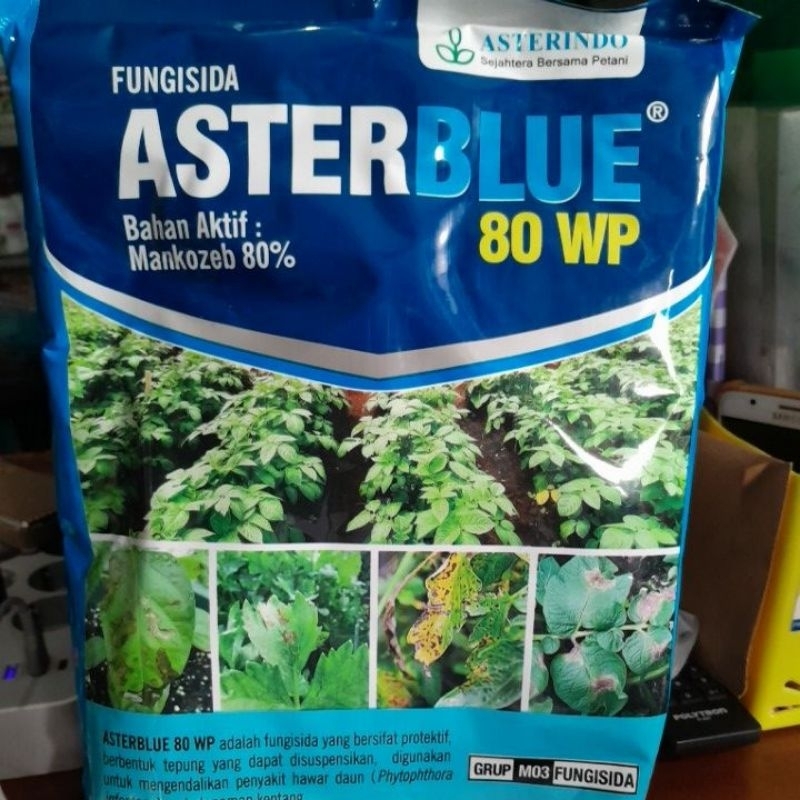Jual asterblue 80wp | Shopee Indonesia