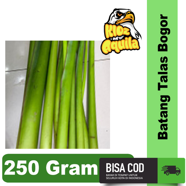 Jual Batang Talas Bogor 250 Gram | Shopee Indonesia