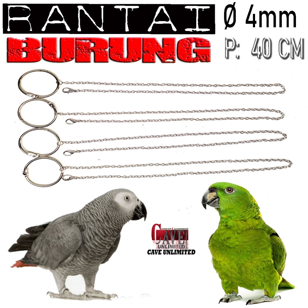 Jual RANTE RANTAI BORGOL RING KAKI BURUNG RANTAI STAINLESS UNTUK BURUNG LOVE BIRD LB FALK PARKIT ...