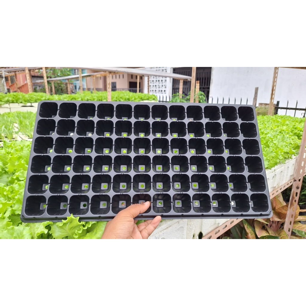 Jual Tray Semai 72 Lubang / Seedling Tray / Tempat Penyemaian Benih ...