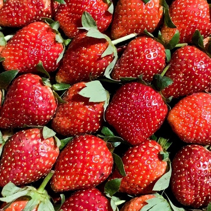 Jual modelTipe WVY890 STRAWBERRY 1 KG | BUAH STRAWBERRY | STRAWBERRY ...