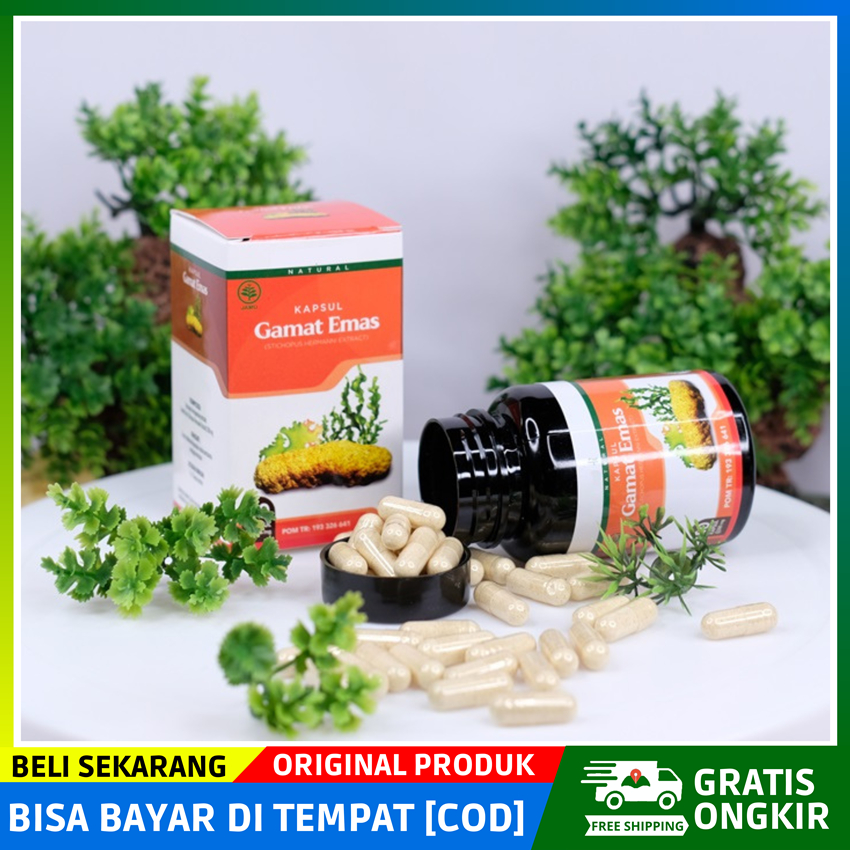 Jual Obat Hernia Pria Dewasa Turun Berok Buah Zakar Bengkak Hidrokel ...