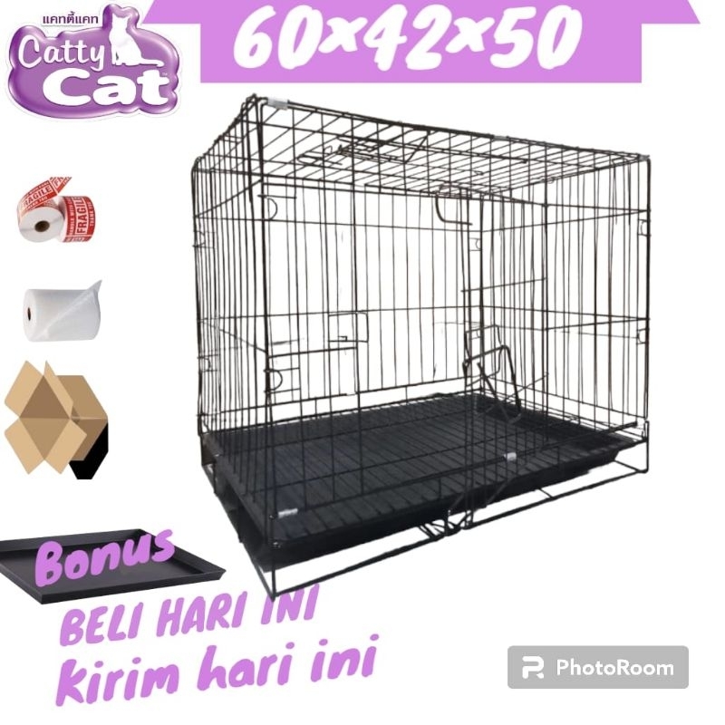 Jual KADANG KUCING POLOS UK 60 X 40 SETANDAR BAHAN TEBAL KUALITAS ...