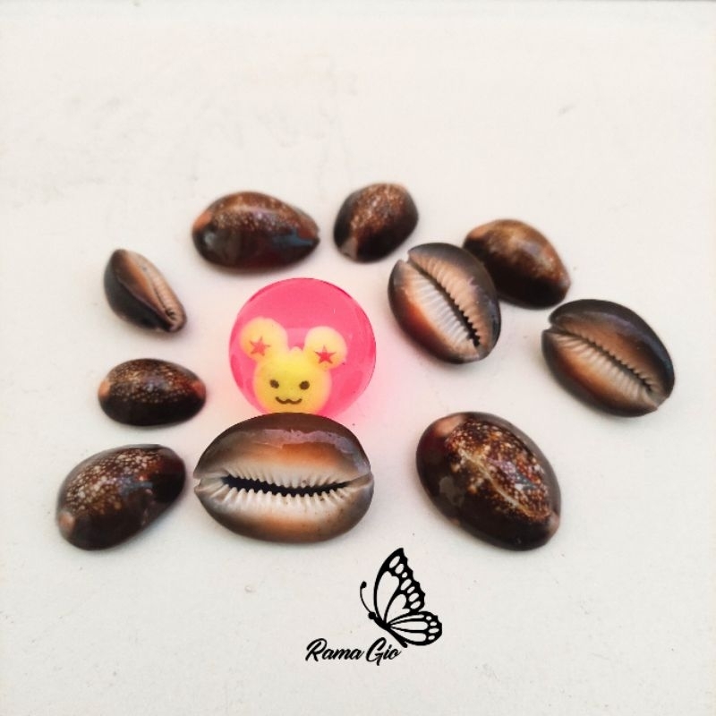 Jual MAINAN TRADISIONAL JADUL BOLA BEKEL KERANG ASLI | Shopee Indonesia