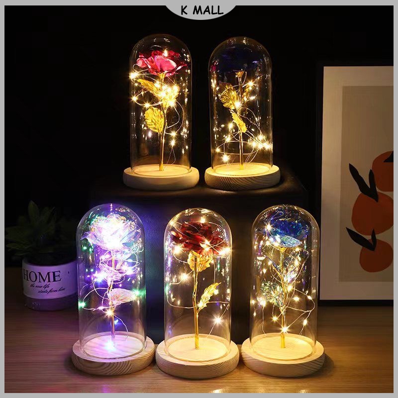 Jual Lampu LED Bunga Mawar Dekorasi Rose Glass Dome Beauty And The ...