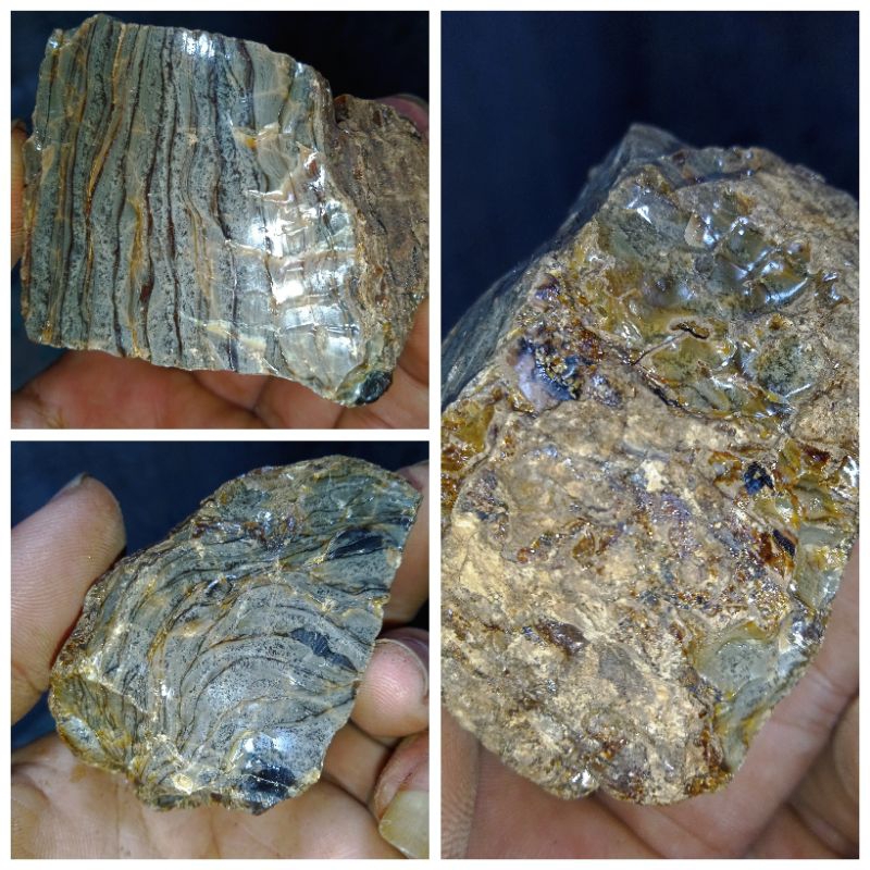 Jual posil getah cendana | Shopee Indonesia