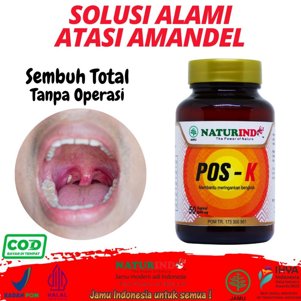 Jual Obat Amandel Anak Dan Dewasa Solusi Ampuh Atasi Sakit Saat Menelan Herbal Posk Naturindo ...