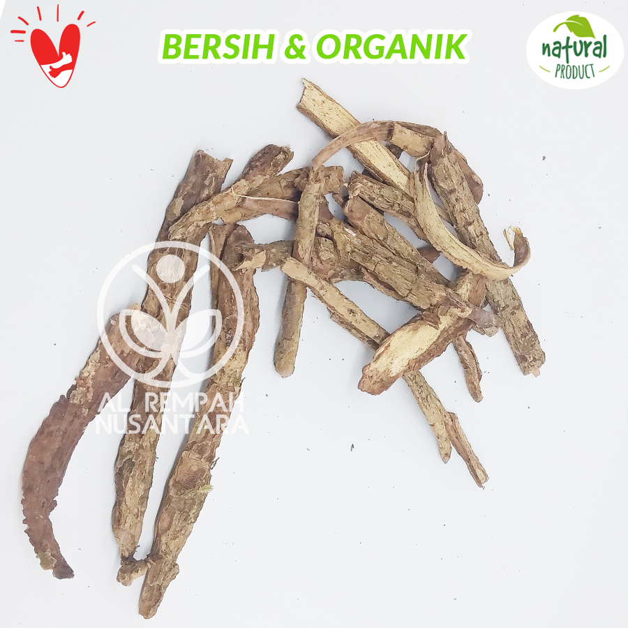 Jual Kulit Kayu Rapet 500gr Kering Organik - Lebih Berkhasiat ...