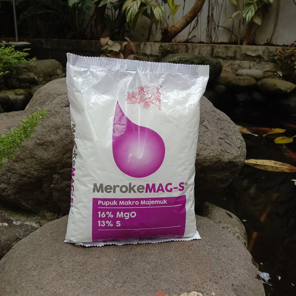 Jual Pupuk MEROKE MAG-S Kemasan 1Kg | Shopee Indonesia