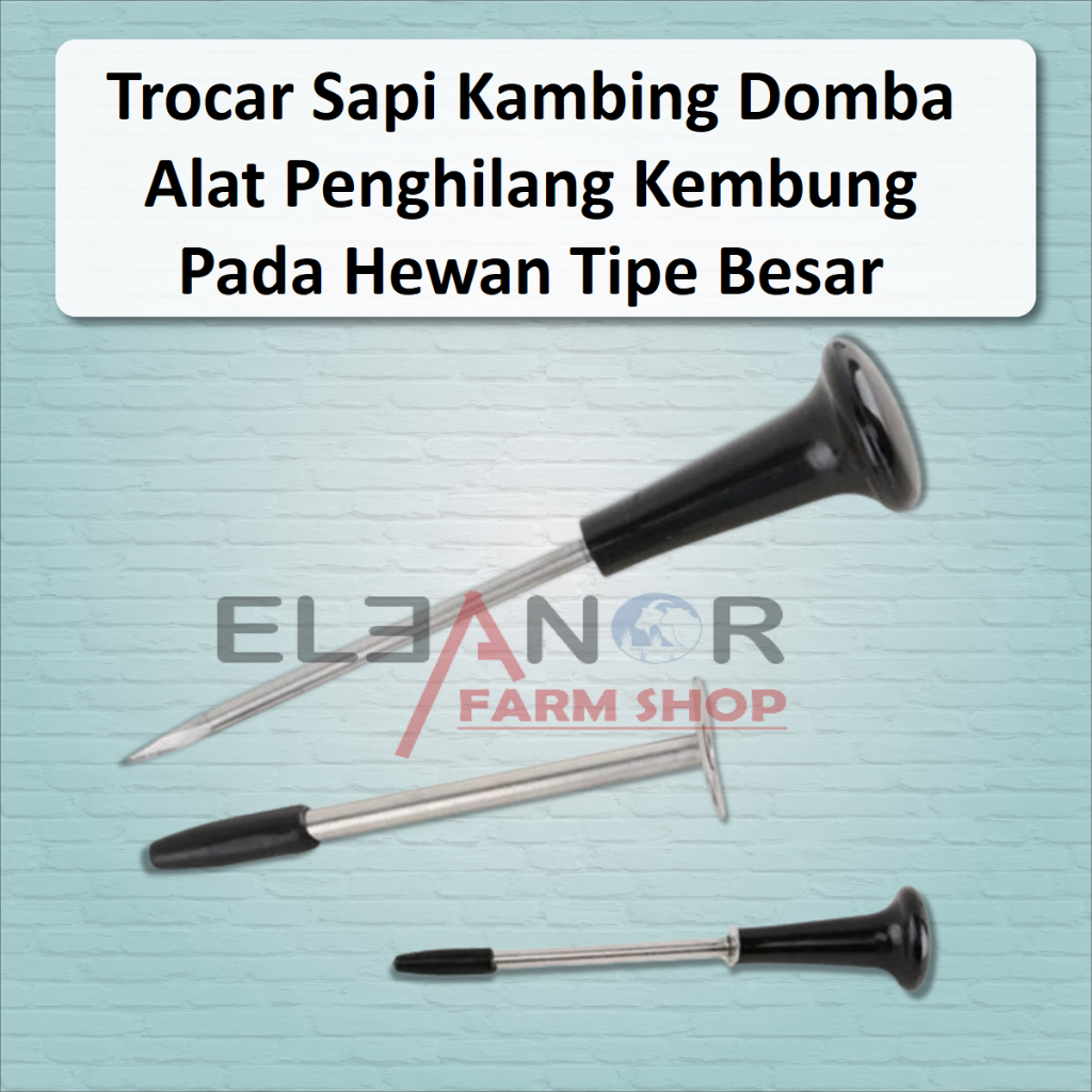 Jual Trocar Sapi Kambing Domba Alat Penghilang Kembung Pada Hewan Tipe ...