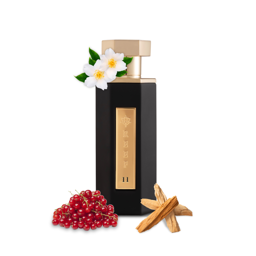 Jual REEF PERFUME KSA 15 21 31 33 39 100 ML PARFUM REEF ARAB | Shopee ...