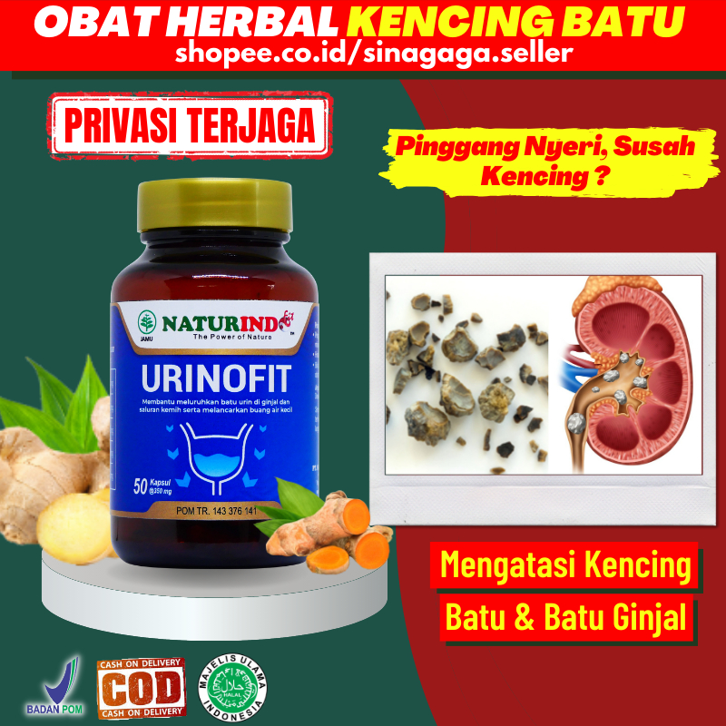 Jual Obat Herbal Batu Ginjal Obat Kencing Beser Gagal Ginjal Infeksi Saluran Kemih Urinofit ...