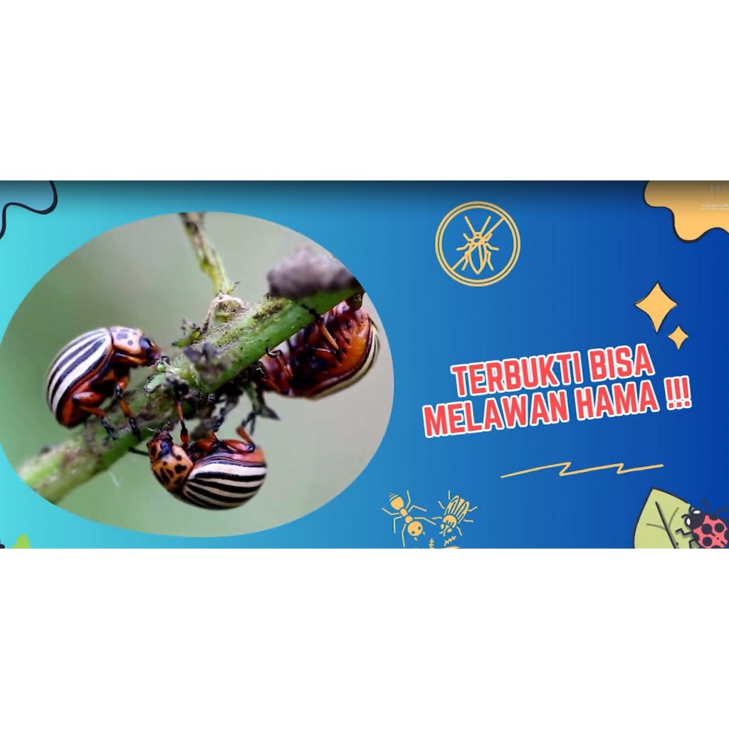 Jual YOMARI OPTIPRO PUPUK ANTI VIRUS ANTI HAMA ANTI ULAT ANTI SERANGGA ...
