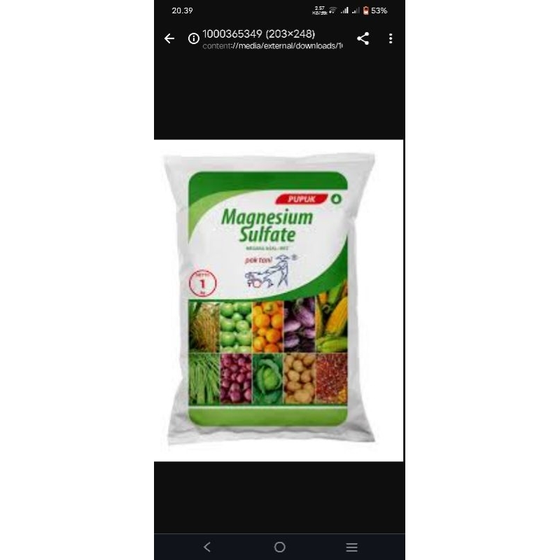 Jual MAGNESIUM SULFATE PUPUK PAK TANI - ISI 250 GR KEMASAN REPACK - ORIGINAL | Shopee Indonesia