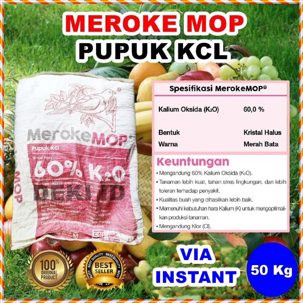 Jual MOP Meroke 50 Kg Pupuk KCL Via Instan Kemasan Pabrik Tanaman Buah ...