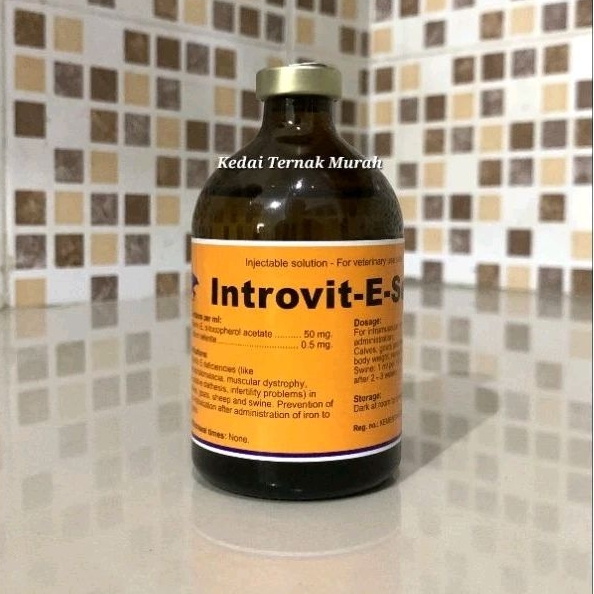 Jual Introvit E Selen 100 ml Vitamin E Selenium Injeksi Hewan Sapi ...