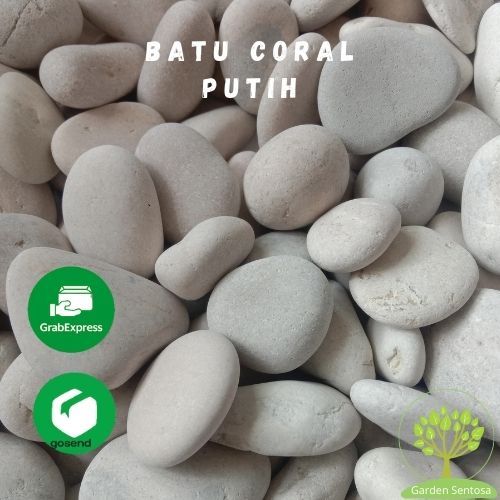 Jual Batu Koral Putih Besar Diameter 5cm Repack 1kg Untuk Hiasan Taman ...