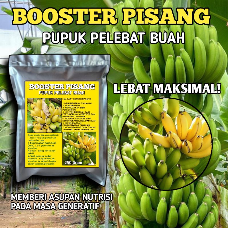 Jual Pupuk booster pisang memberi nutrisi untuk buah pisang termurah bisa cod kemasan 250 gram ...