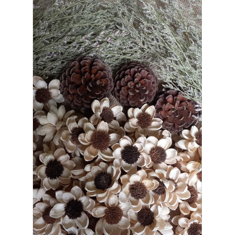 Jual Kolobot Kulit Jagung | Shopee Indonesia