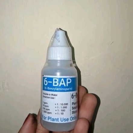 Jual hormon anggrek 6-BAP(mempercepat pertumbuhan tunas, bunga, dan ...