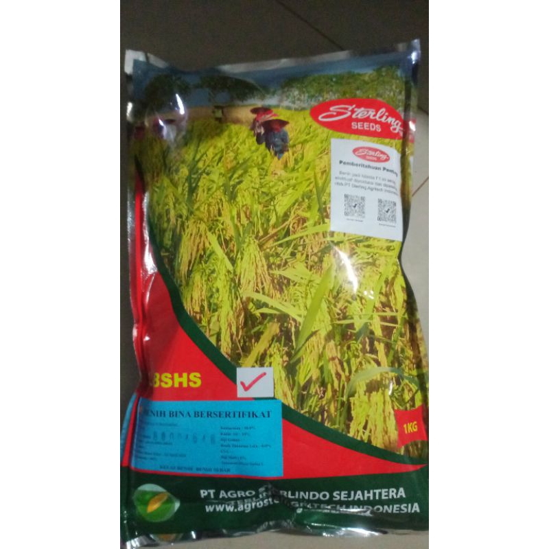 Jual Bibit Padi Hibrida Sterling kemasan 1 Kg terbaru | Shopee Indonesia