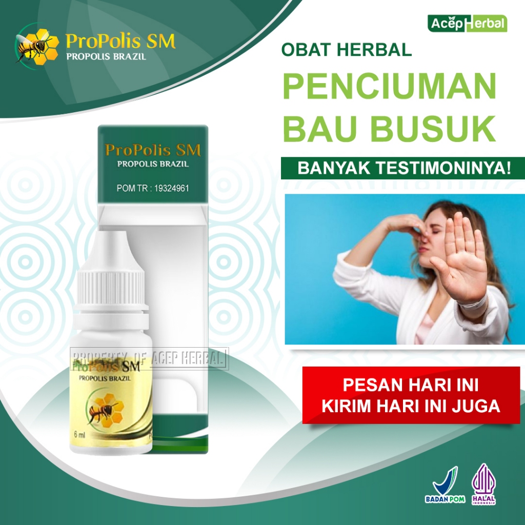 Jual Obat Penciuman Bau Busuk Polip Hidung Hilang Penciuman Anosmia ...