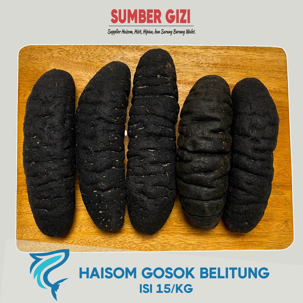 Jual Teripang Gosok Belitung Ukuran 15/ kg - (@1 kg)/ Haisom Gosok ...