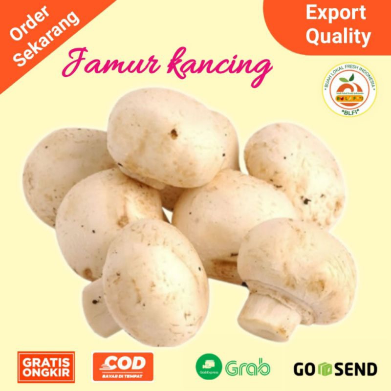 Jual JAMUR KANCING JAMUR CHAMPIONS | Shopee Indonesia