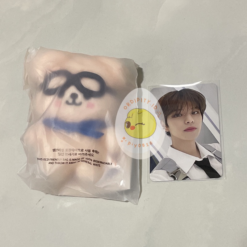 Jual READY PLUSH MINI DOLL + PHOTOCARD POB BENEFIT PILOT MERCH MD STRAY ...