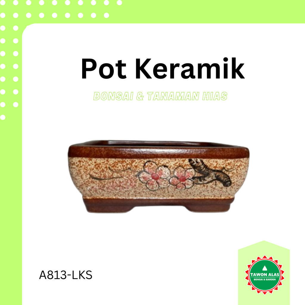 Jual Pot Bonsai Keramik Segi Empat Mame unik | Shopee Indonesia