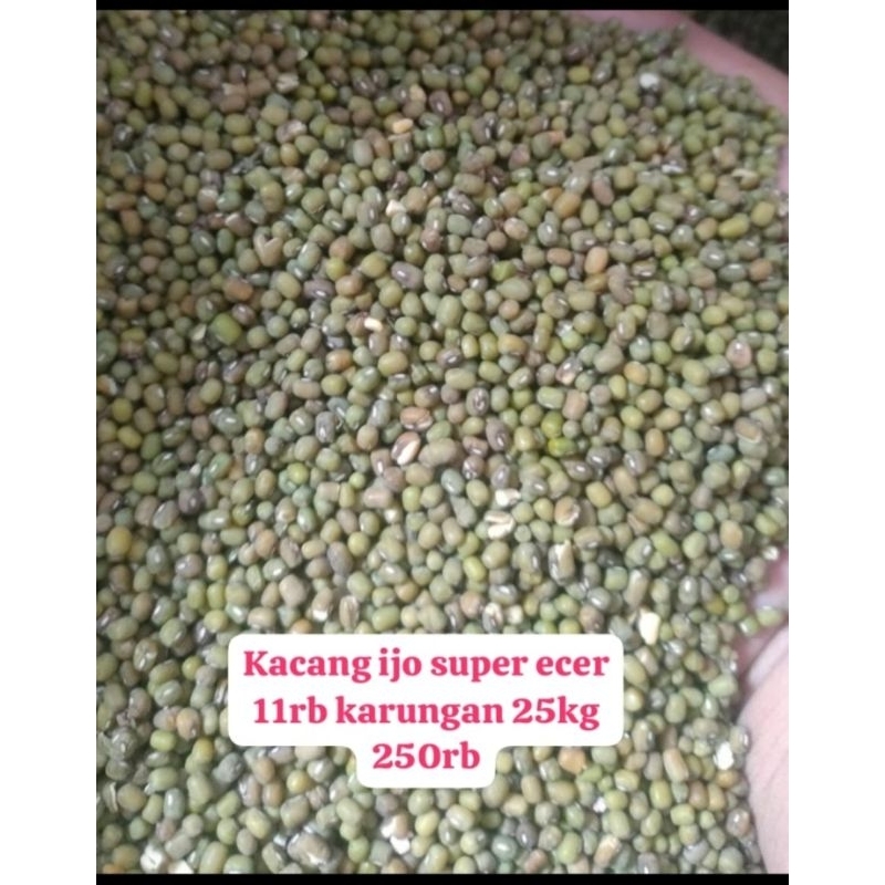 Jual kacang Hijau paket 25 kg | Shopee Indonesia