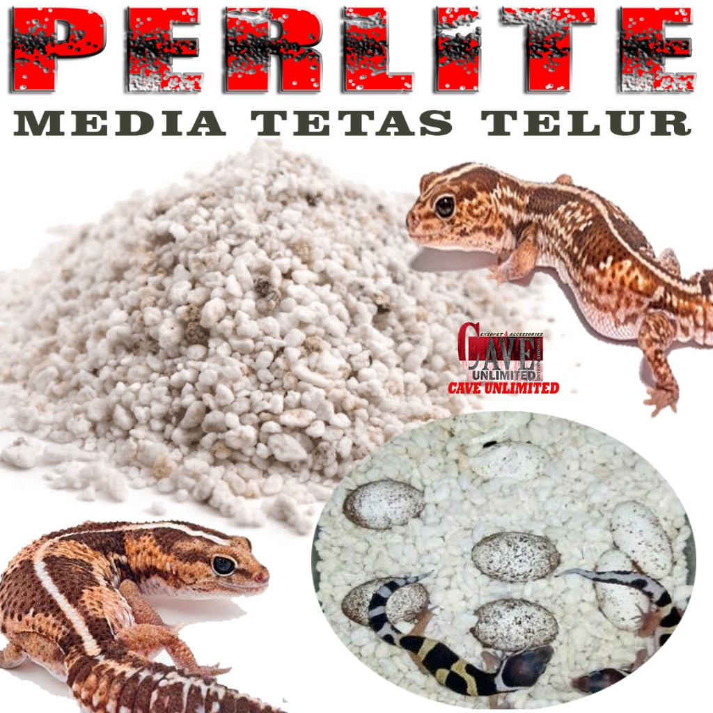 Jual PERLITE PERLIT MEDIA TETAS TELUR GECKO ALAS INCUBATOR EGG ...