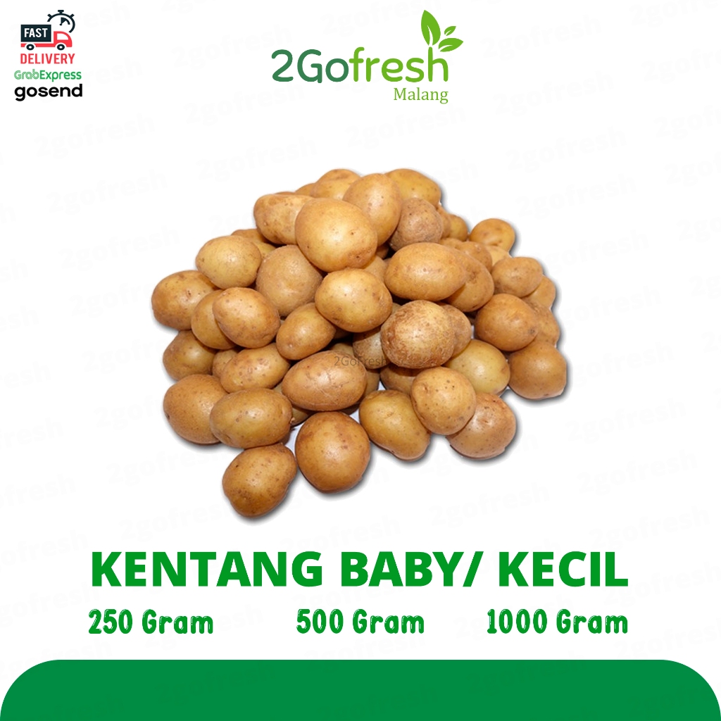 Jual Kentang Baby / Mini Potato - Sayur Sayuran | Shopee Indonesia
