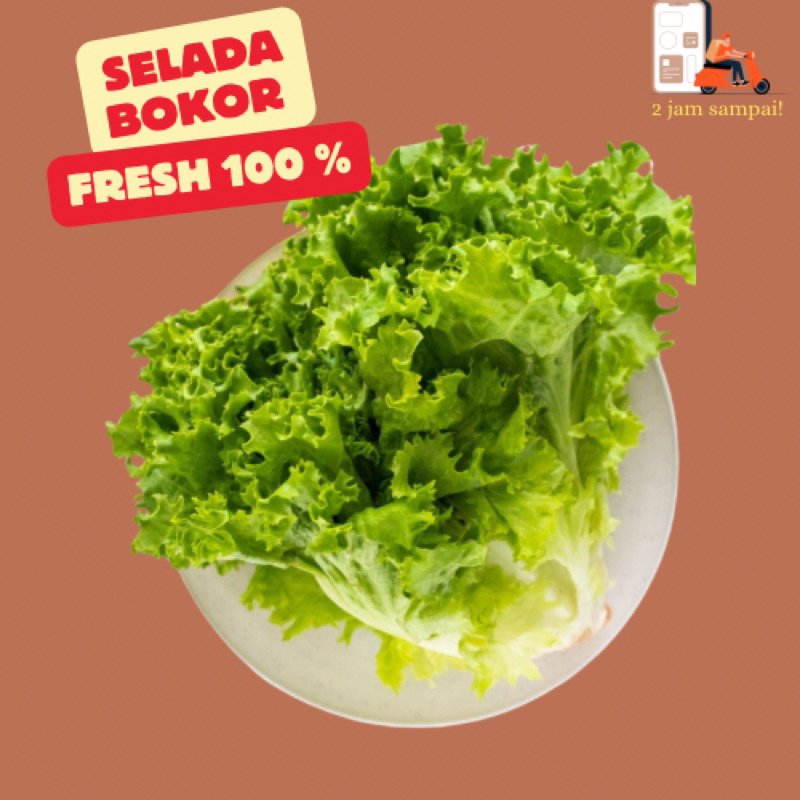 Jual Selada Hijau Bokor fresh Sayuran KIRIM INSTAN BANDUNG 250gram ...