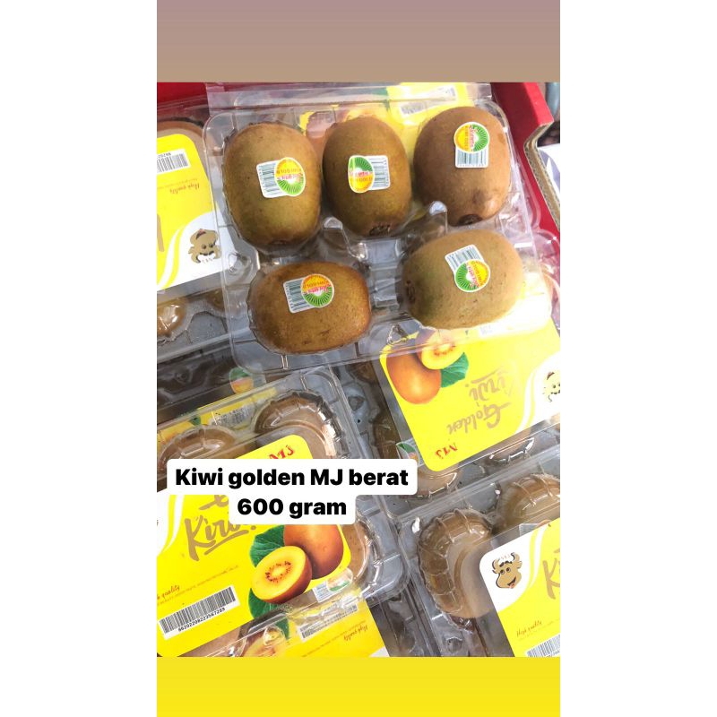 Jual kiwi golden MJ berat 600 gram/pack | Shopee Indonesia