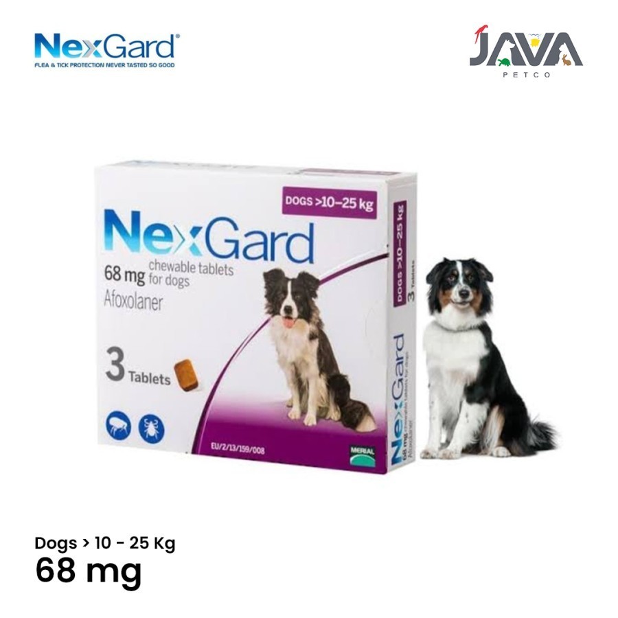 Jual Obat Kutu Anjing Dan Demodex NEXGARD Dog L 10-25 Kg | Shopee Indonesia