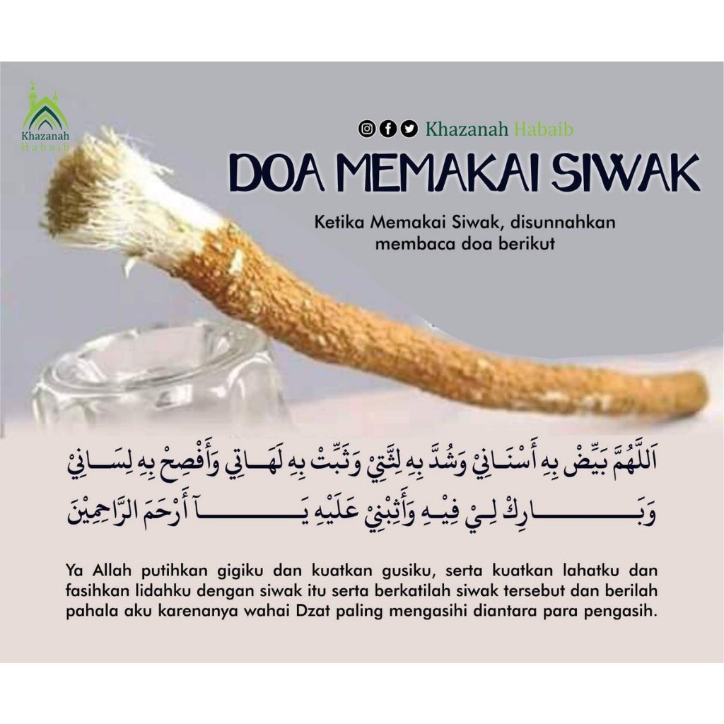 Jual Siwak biasa Siwak besar syiwak Sunnah sikat gigi herbal Siwak ...