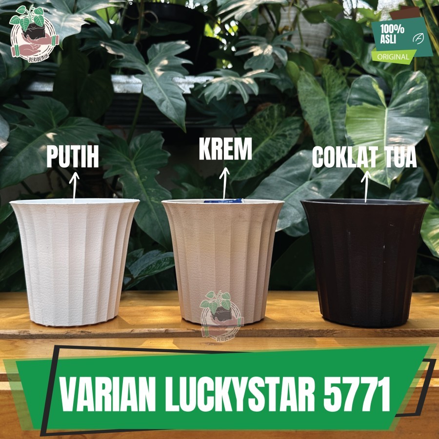 Jual Pot Tanaman Hias Lucky Star Pot Bunga Mini Cantik Tebal Hiasan ...